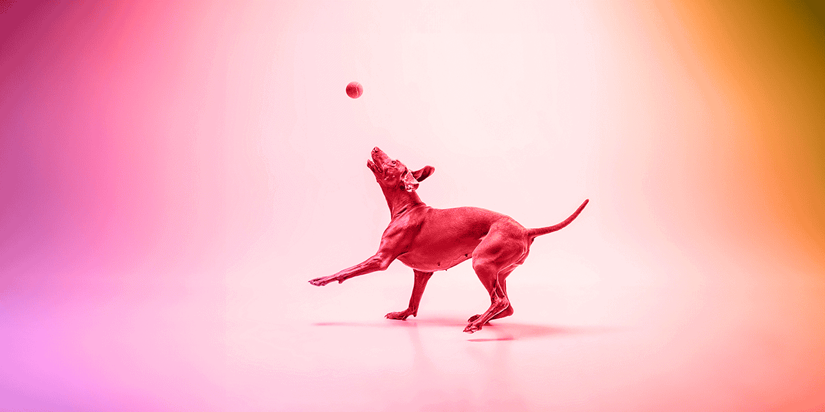 How To Bounce Back From Failure | Vector